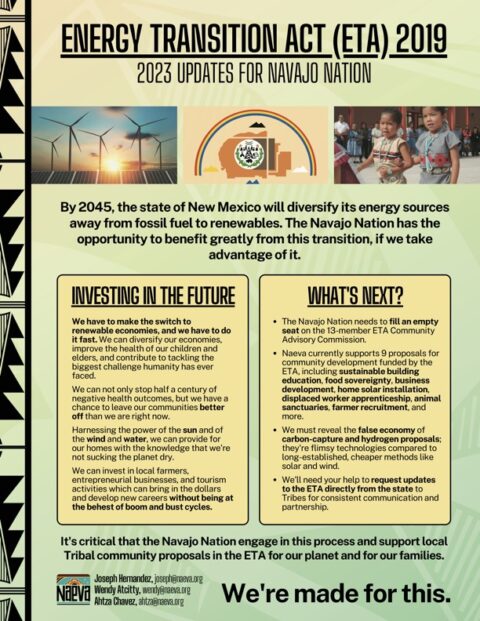 Naeva | Building Native Power.